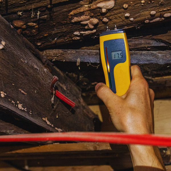Damp & Timber Survey – Ground Up Property Group